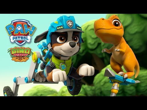 NEW PUP! PAW Patrol Dino Rescue! Meet Rex, the Dino Whisperer! | PAW ...