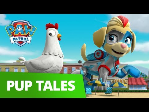 PAW Patrol | Chick-a-lotta | Rescue Episode | PAW Patrol Official & Friends