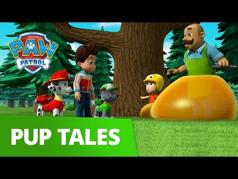PAW Patrol | Pups Save the Mini Patrol | PAW Patrol Official & Friends